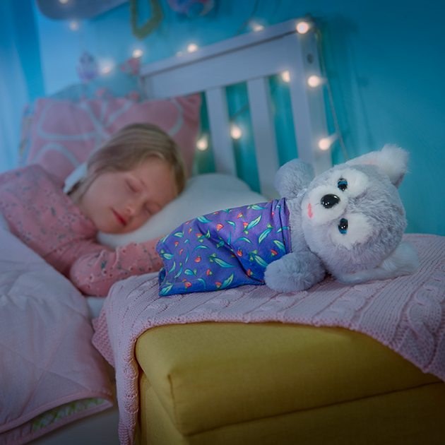 Little Live Pets: Cozy Dozy - Kip the Koala Interactive Toys for Kids ...